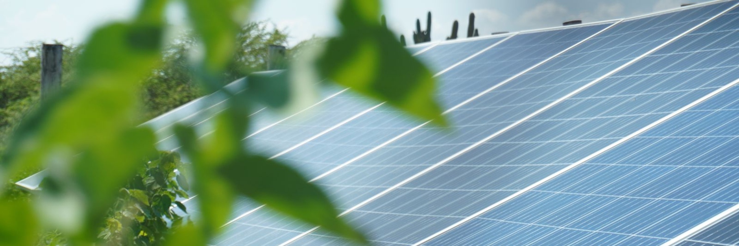 Parque Fotovoltaico La Orquídea 200MW en el departamento de Bolívar ...